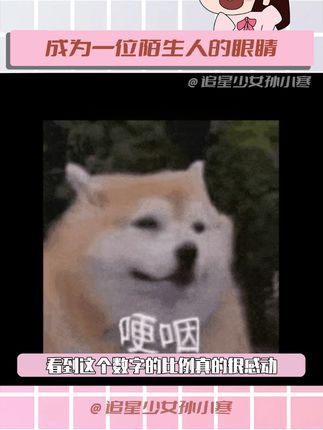 看到这个数字的比例真的很感动 #求助 #盲人