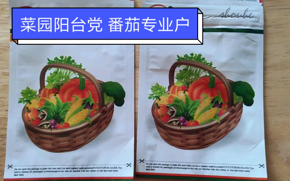 菜园阳台党 番茄专业户
