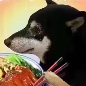 一撮杂鱼 