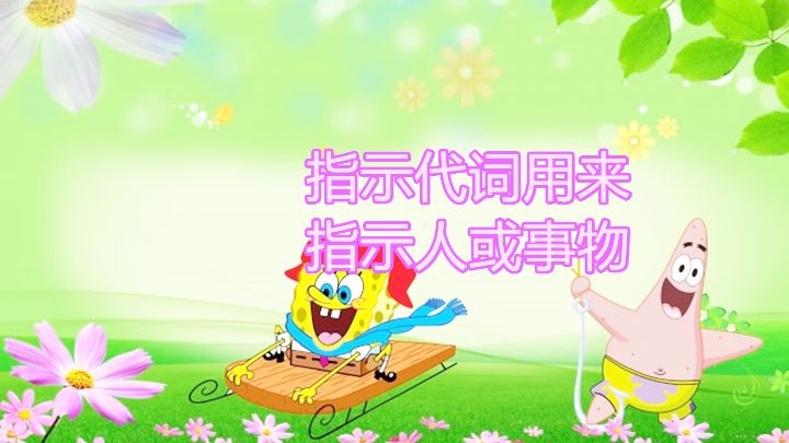 指示代词用来 指示人或事物