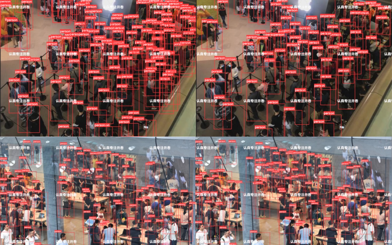 【手把手带你做毕设yolo】这可能是全网最全的一集YOLO目标检测...