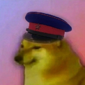 探头探脑的冬瓜 
