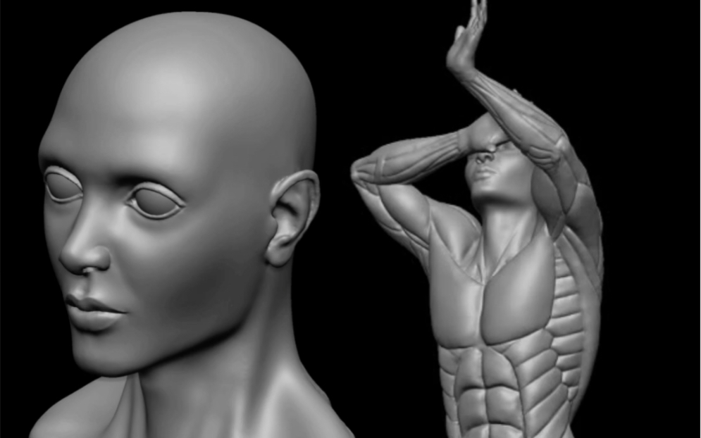 3d建模速雕人体