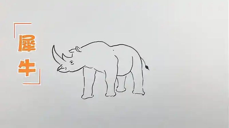 野生动物怎么画,绘画一头犀牛,犀牛简笔画