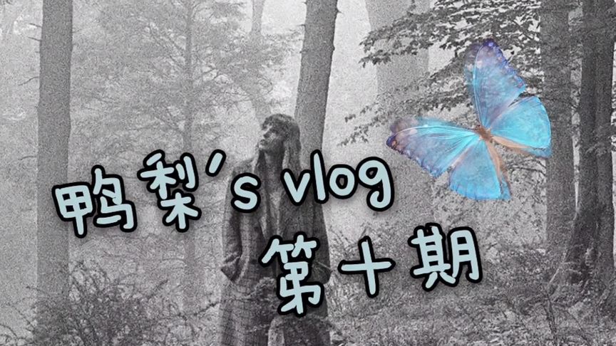 鸭梨's vlog 第10期,Taylor swift发新专了!霉粉快来学英语单词