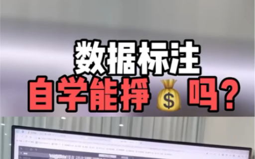 数据标注能挣钱吗?