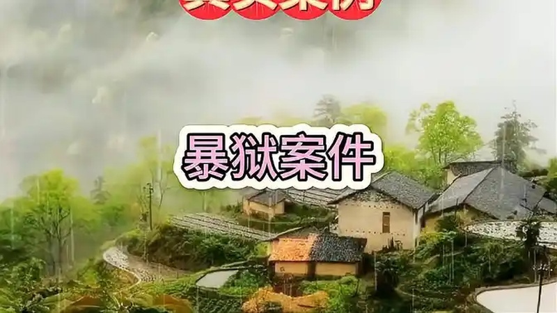 真实案例暴狱案件