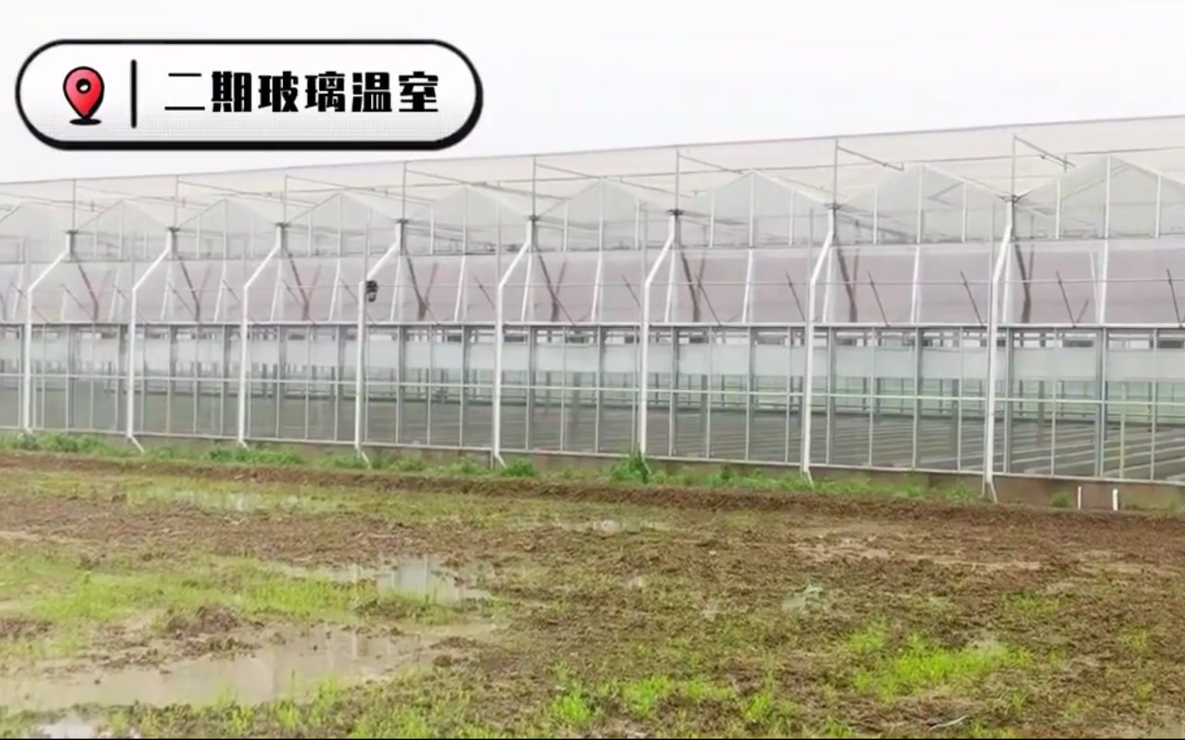 蔬菜工厂化育苗企业,科技改变农业生产