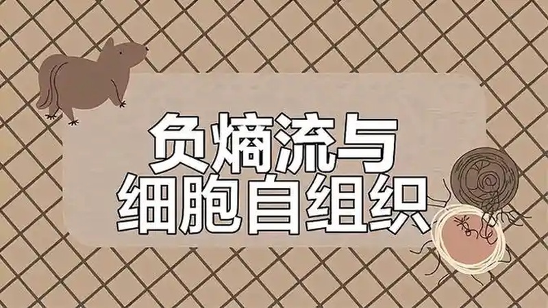 负熵瘤如何驱动细胞自组织,打造高效有序的生命结构