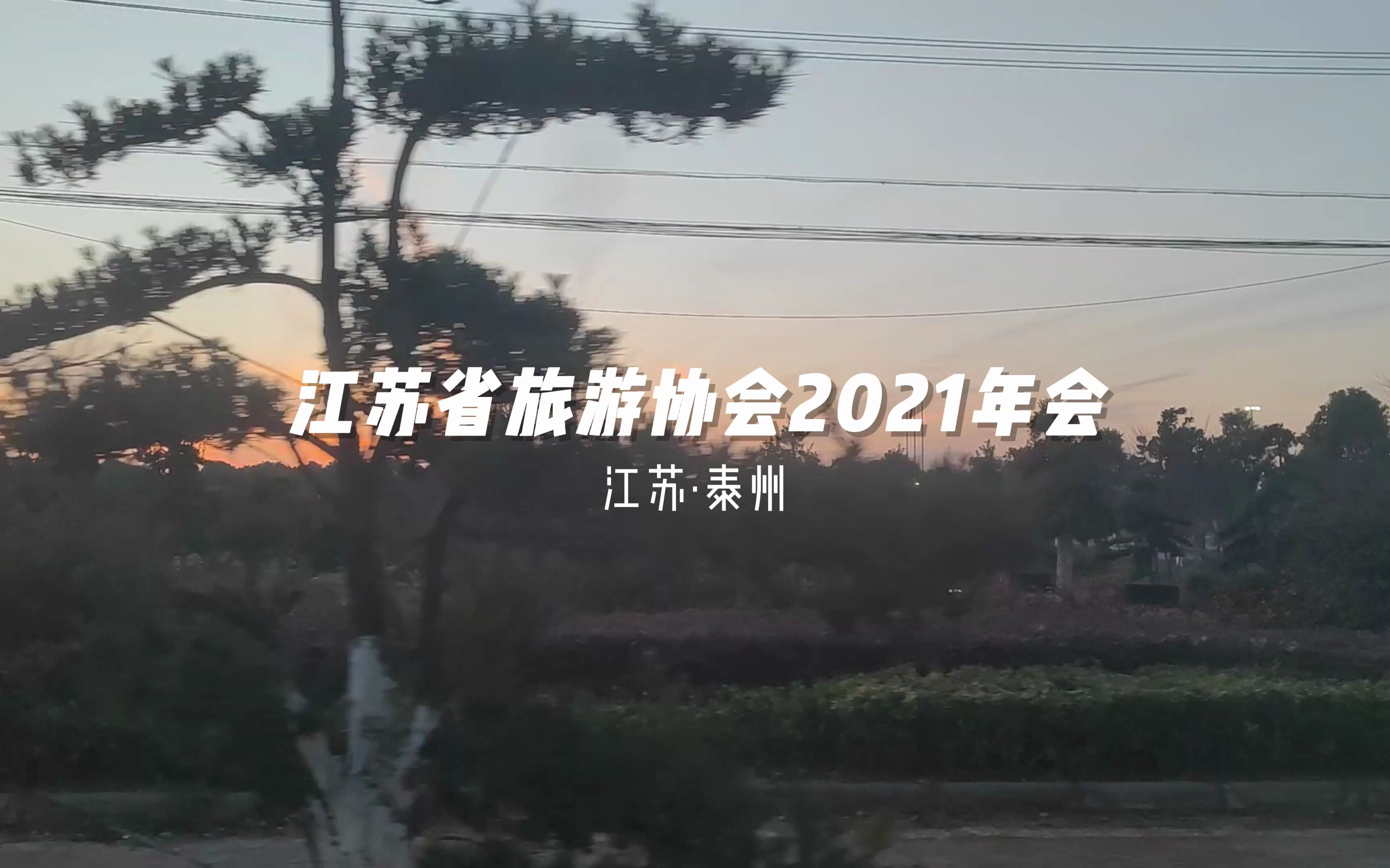 江苏省旅游协会2021年会
