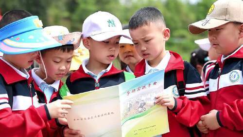 寒假社会实践报名开启!充实假期,这些高含金量活动别错过!