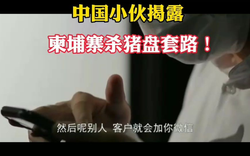 中国小火揭秘柬埔寨杀猪盘诈骗套路