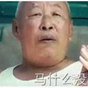 不晒太阳的小饼干 