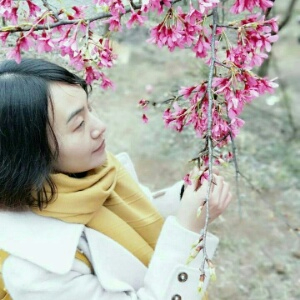 小白菜养生坊 
