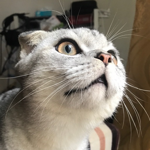 Snickerso 