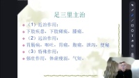 足三里的定位与主治
