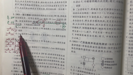 伴性遗传考点一+小书习题讲解