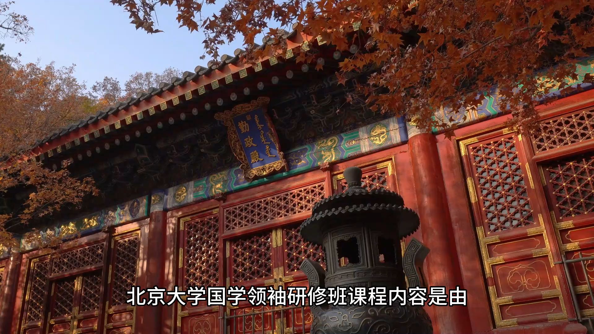深入了解中国传统文化:北京大学国学领袖研修班课程