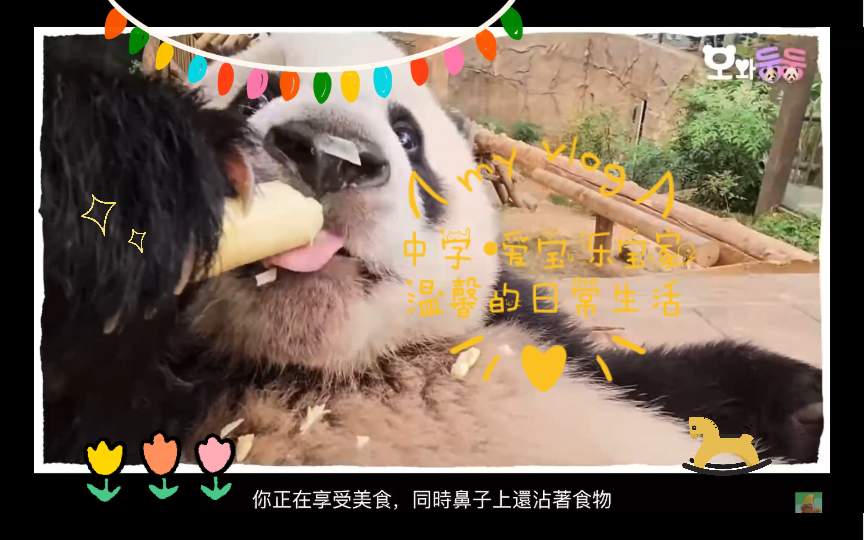 ...•爱宝乐宝家温馨的日常生活,上班时间也是我的两倍,下班时间是你的...