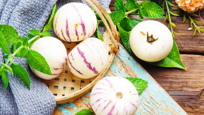 养生小知识之人参果篇