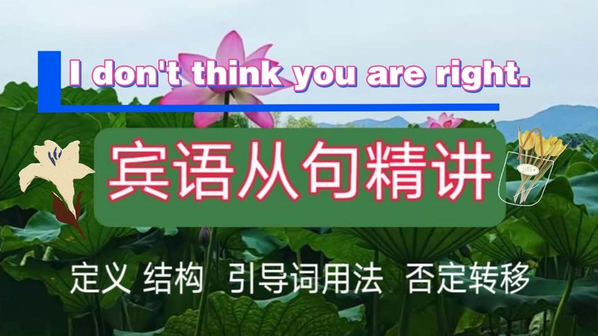 宾语从句引导词如何用?有否定转移吗?本视频为您解疑释惑!