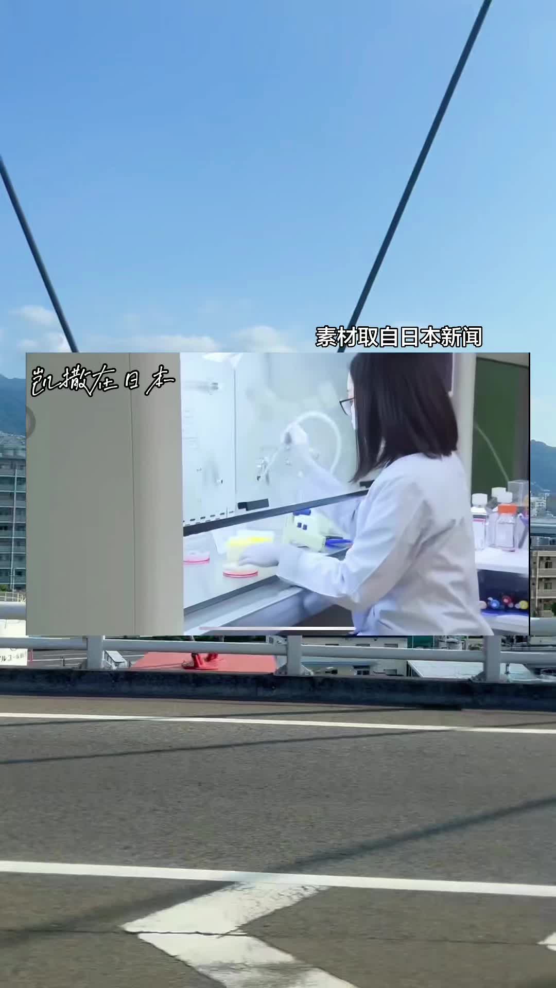 ips心肌球打开心脏修复新方向 说实话,我也是第一了解ips心肌球,确实...