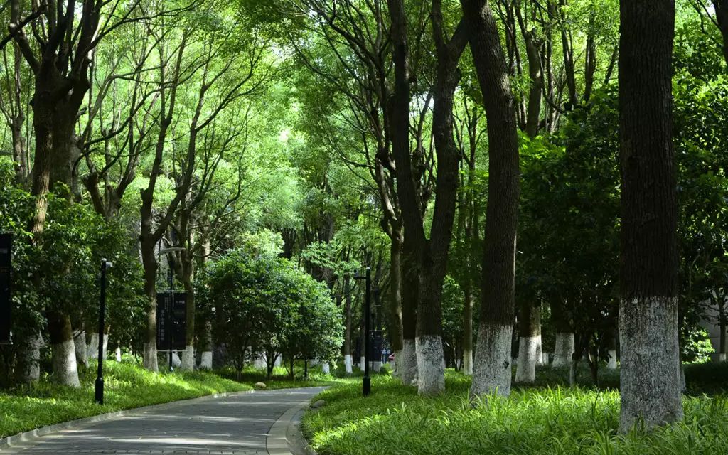 ...包豪斯风格——全玻璃幕墙,全框架结构户型可自由定制,独特毛细管...
