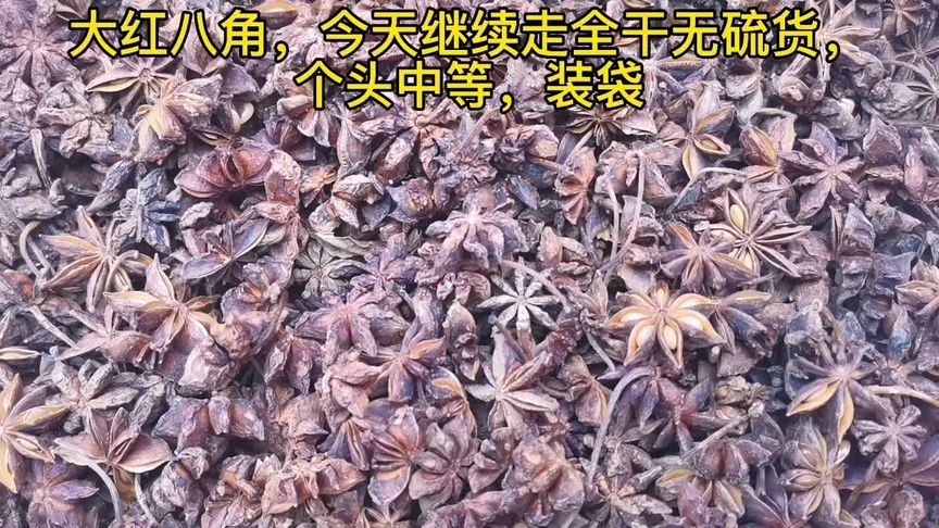 八角中的硬通货——大红八角全干无硫货,今天继续走无硫货