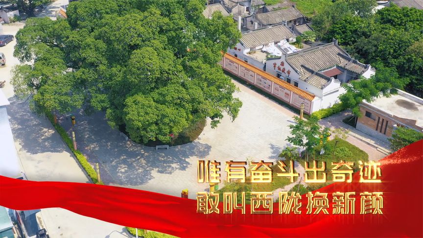 汕头市金平区岐山街道西陇社区:学习党史强党建 基层治理开新篇
