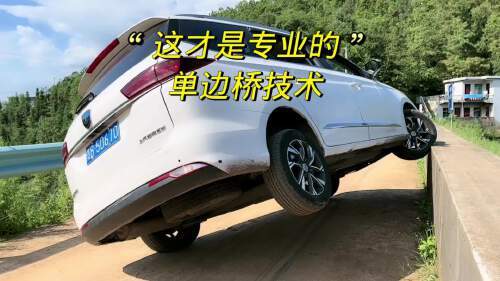 窄路上小姐姐会车不料小哥竟然使出失传已久的单边桥技术通过