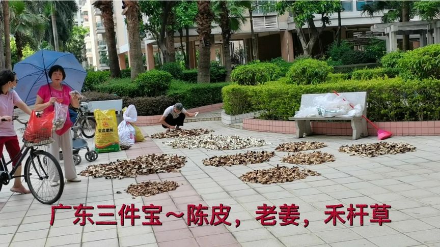 广东三件宝～陈皮老姜禾杆草