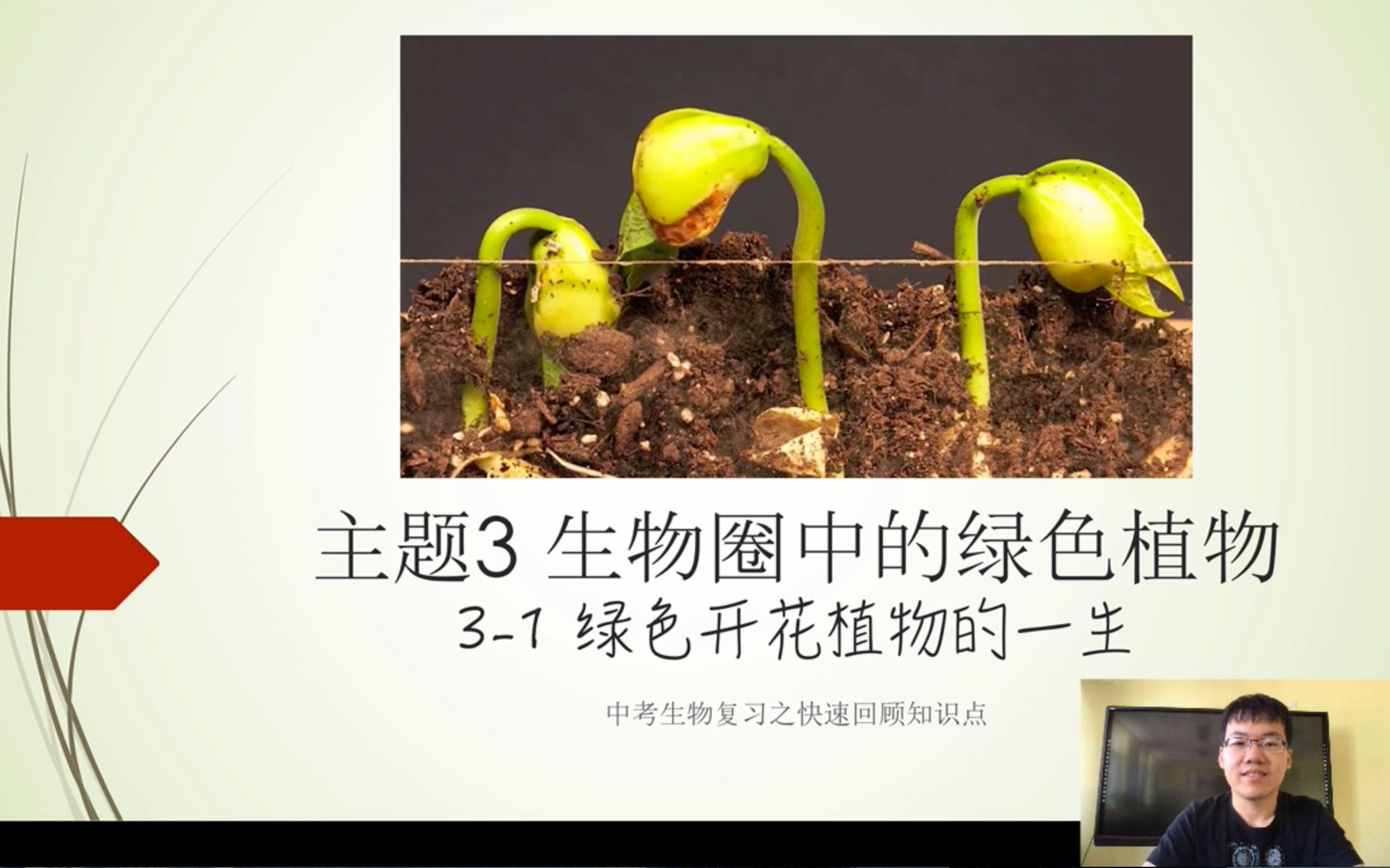 【生哥讲生物】主题3-1 绿色开花植物的一生——中考生物复习