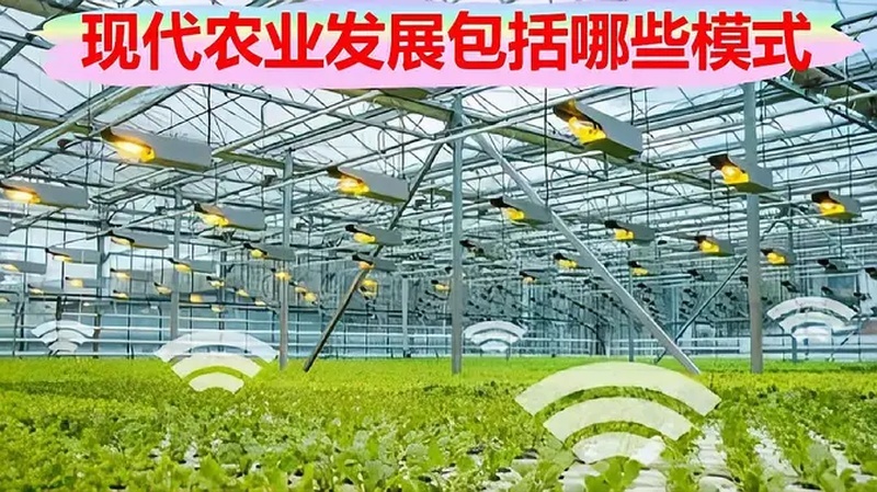 现代农业发展包括哪些模式:多元化路径引领农业新时代
