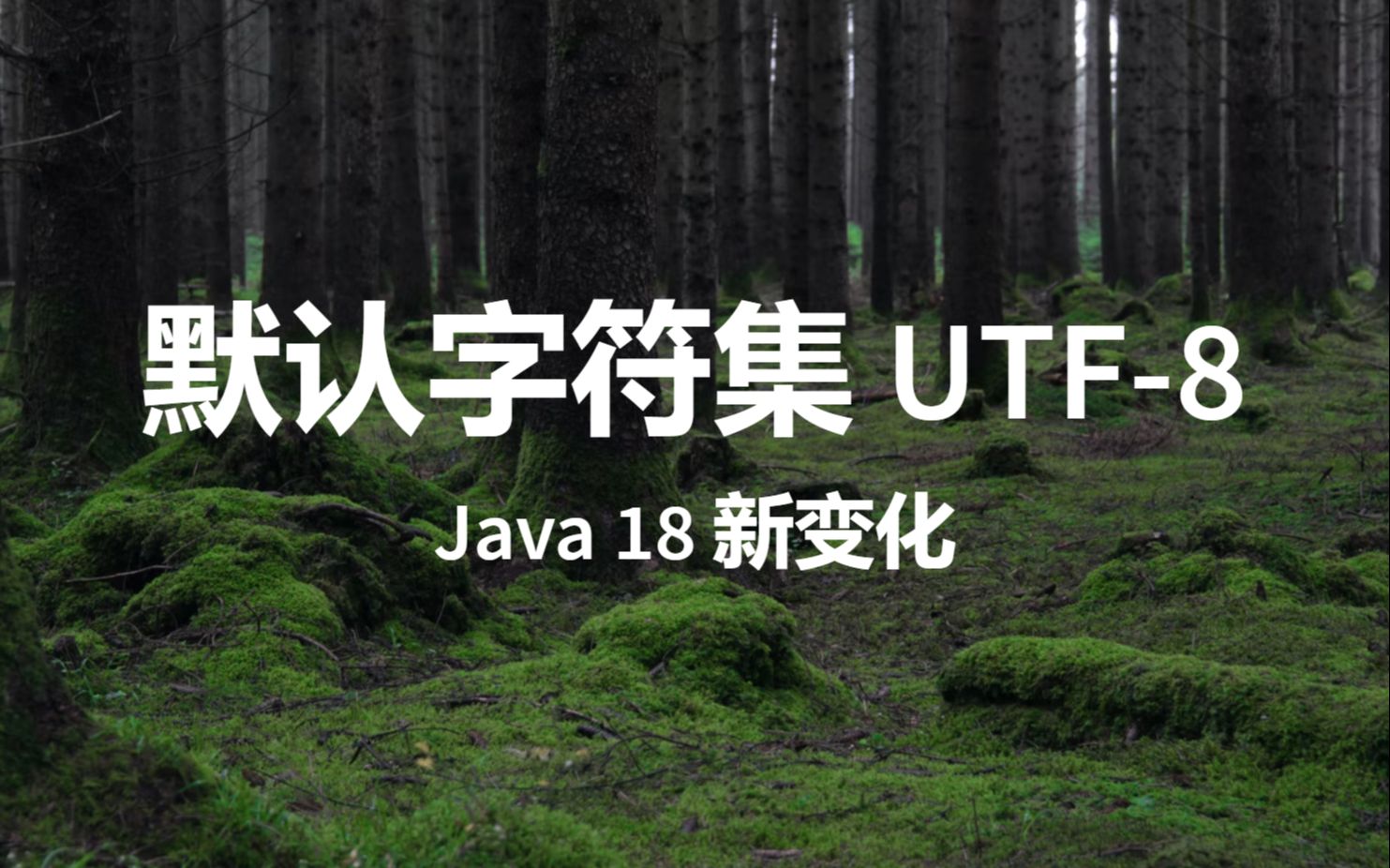 【Java 18】使用 UTF-8 作为默认的字符集
