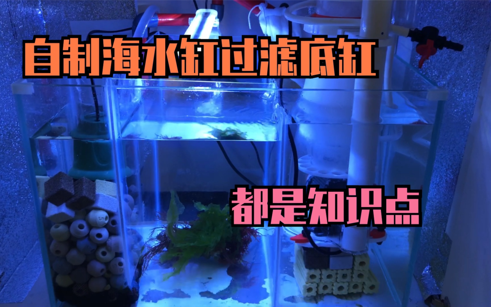 海水缸的过滤系统是怎么样的?海水底缸过滤系统运行介绍