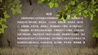 铁路行车事故案例集锦-片头-库尔勒机务段