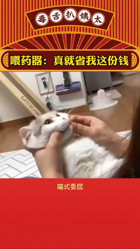 喂药器:实在不行把我卖了吧#猫咪绝育后经历社死瞬间##萌宠#