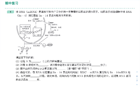 高一必修二期中考前每日一题——基因表达