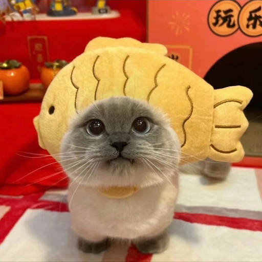 炸酱面_SAN 