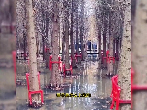 凳子是怎么上去的,又能起到啥作用