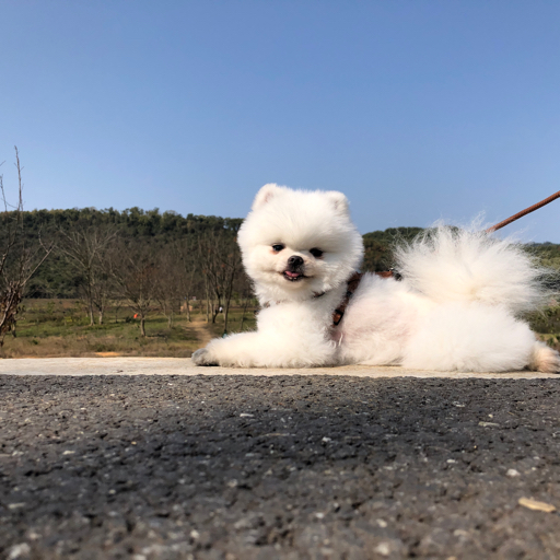 月明笔记分享 