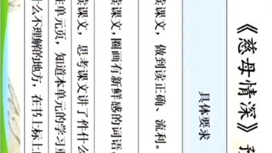 【学习】小学语文公开课 优质课 江苏省青年教师评选