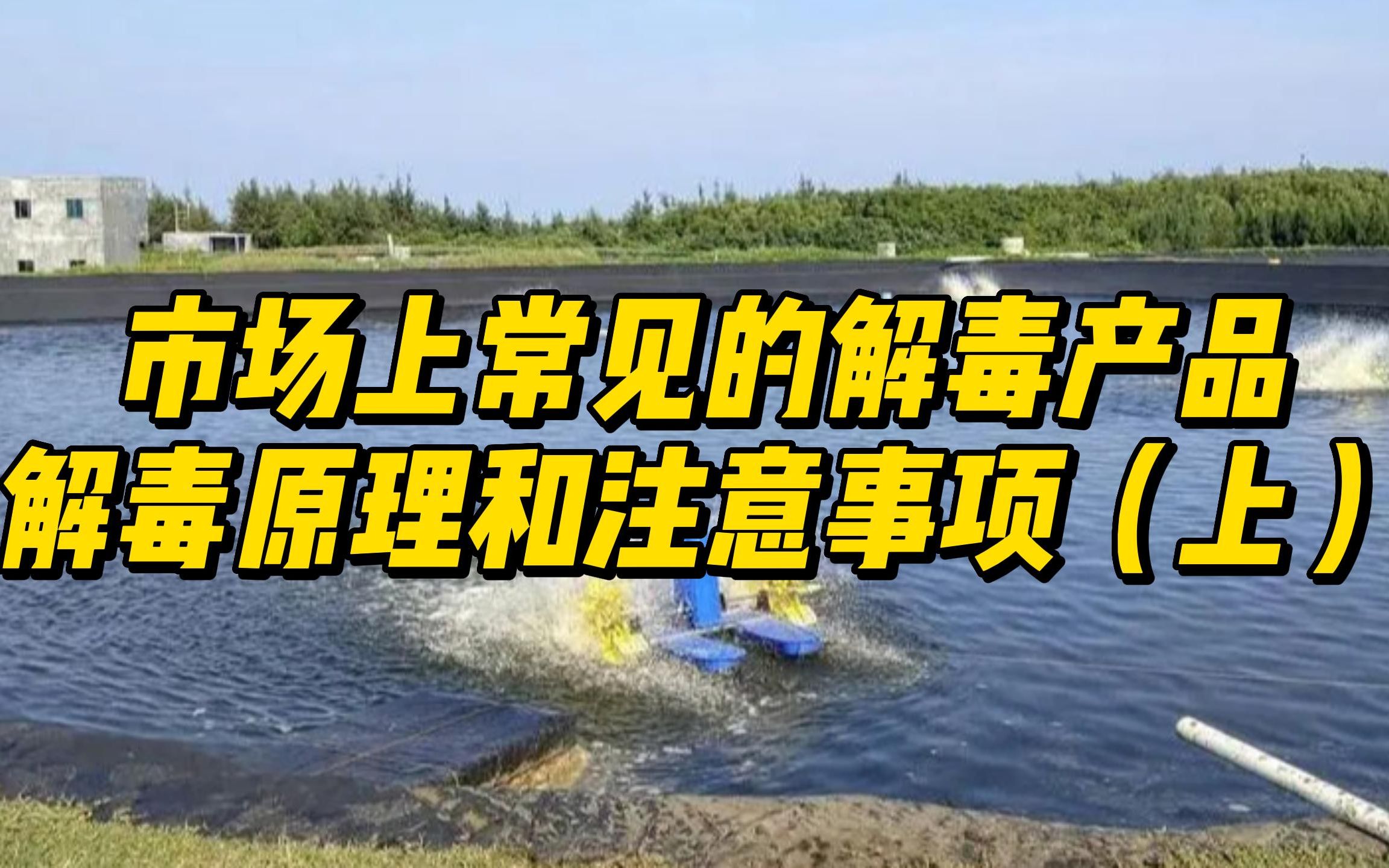 水产养殖常见的解毒产品的解毒原理和注意事项(上)