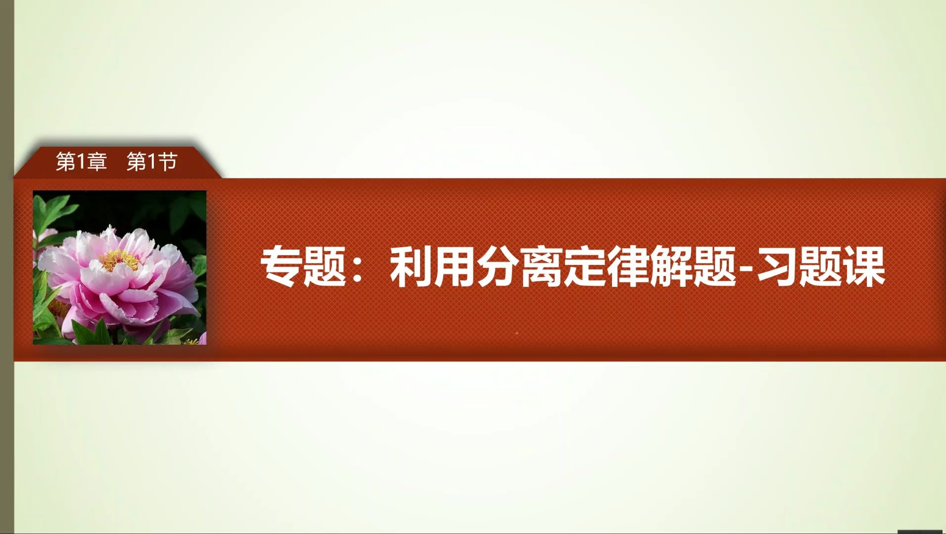 1.1.3专题:利用分离定律解题-习题课(一)