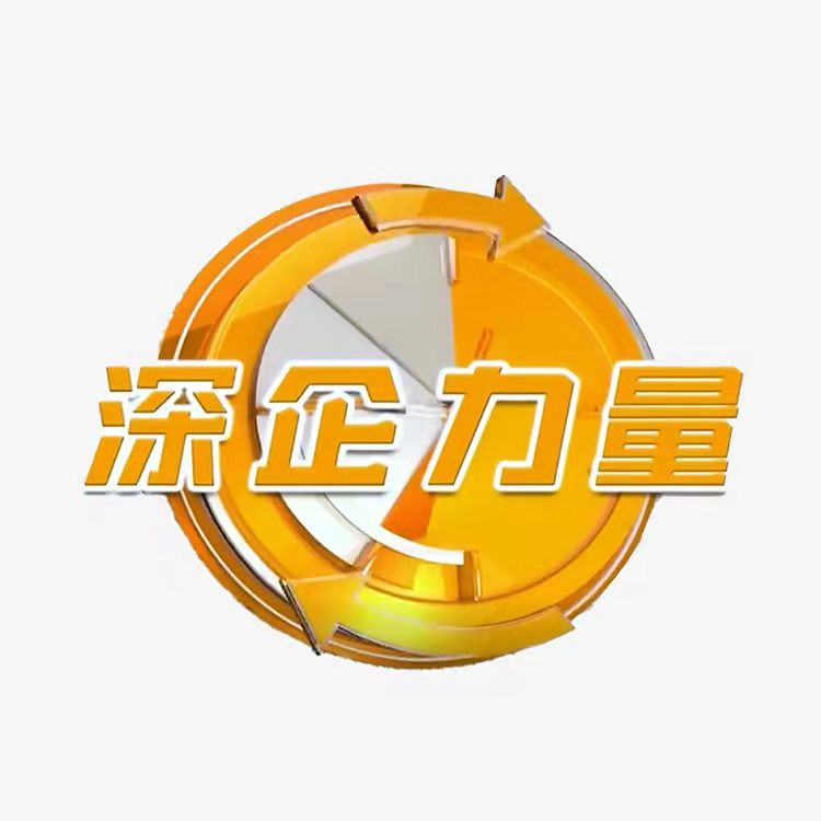 深企力量栏目 