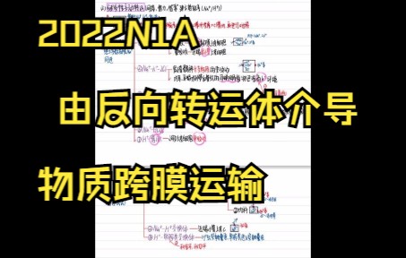 2022N1A 由反向转运体介导的物质跨膜运输是