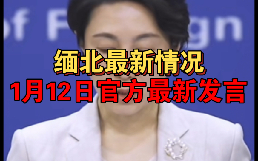 缅甸最新情况!1月12日官方最新发言!