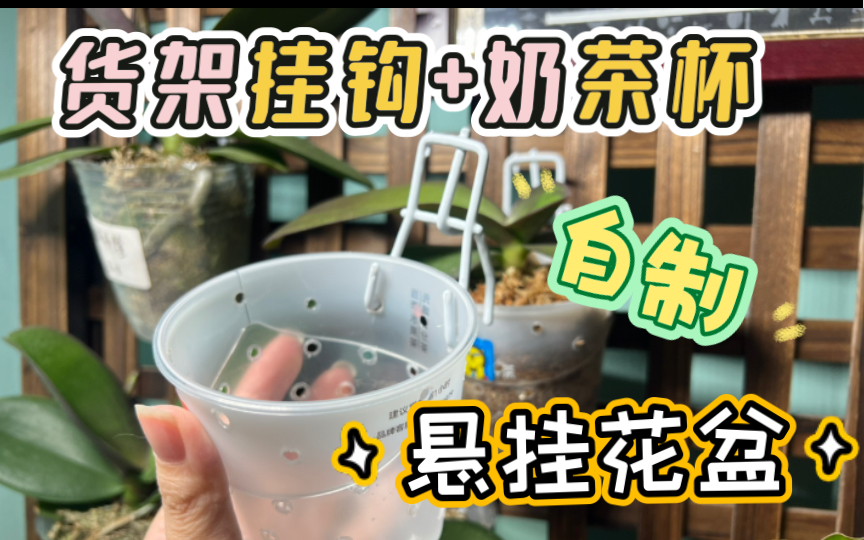 【自制悬挂花盆】自制蝴蝶兰悬挂花盆 ～结实又透气～环保又卫生!