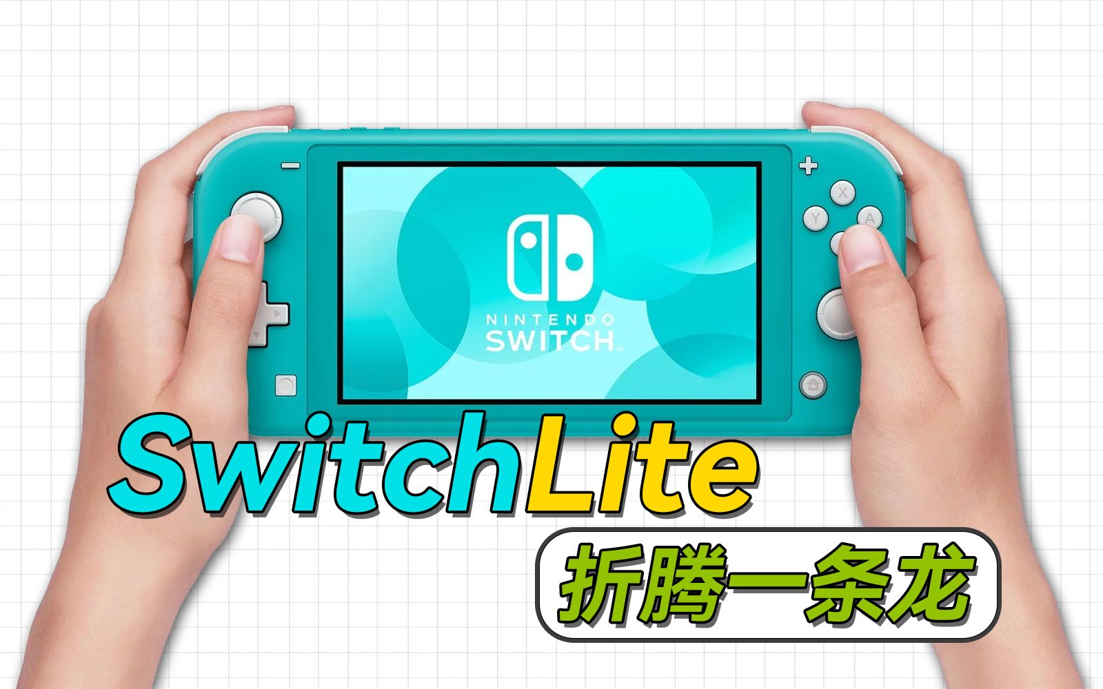 折腾版Switch Lite入手指南,验机、备份、更新一条龙教程