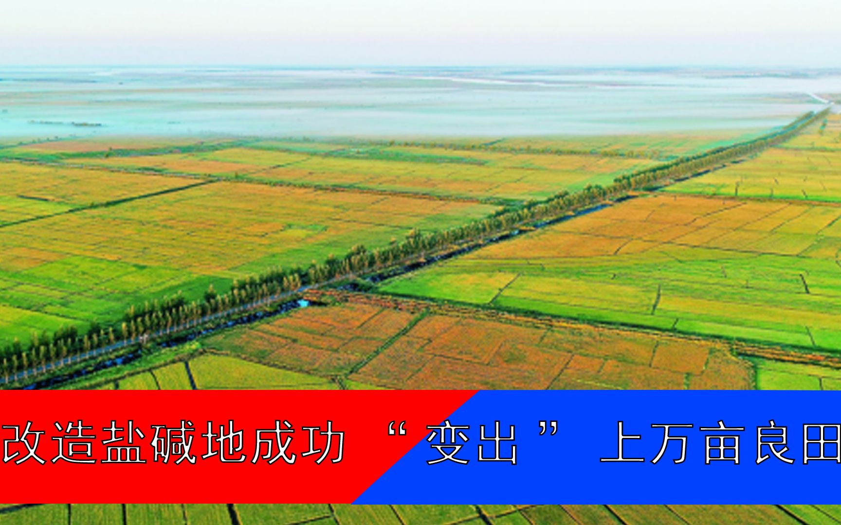 中国破解千年历史难题!改造盐碱地,成功“变出”上万亩良田